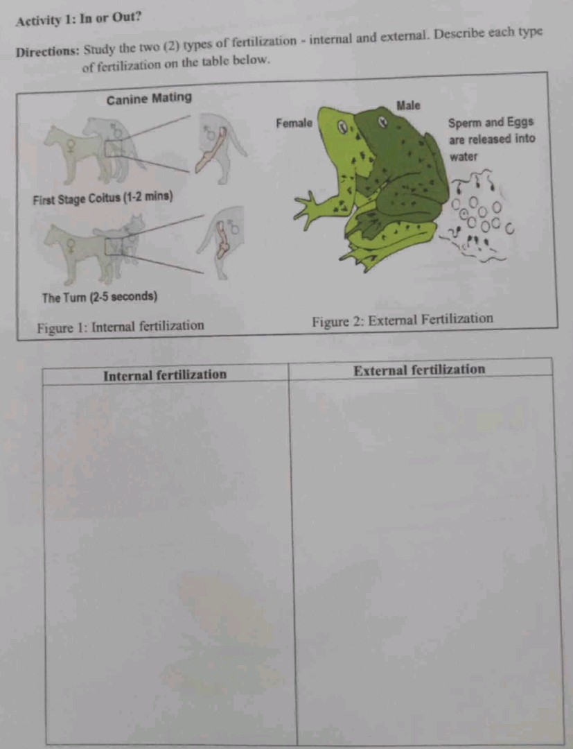 Activity 1 In or Out Directions Study the | StudyX