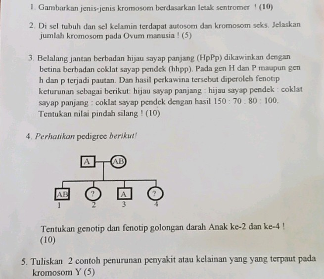 1 Gambarkan jenis-jenis kromosom berdasarkan | StudyX