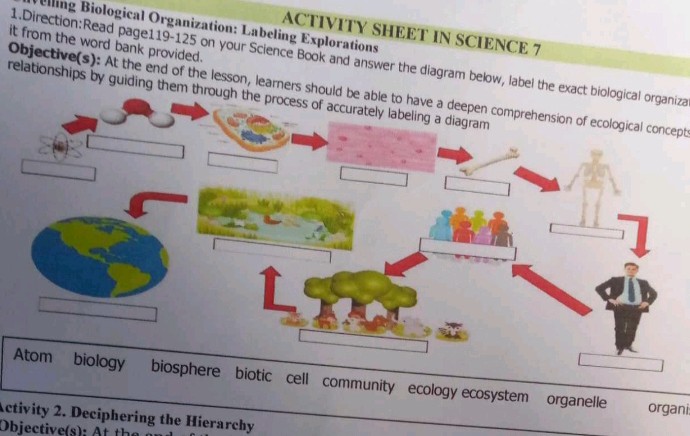 ACTIVITY SHEET IN SCIENCE 7 Unveiling | StudyX