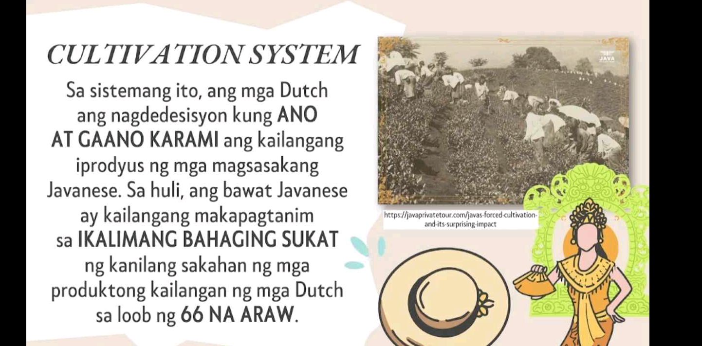 CULTIVATION SYSTEM Sa sistemang ito ang mga | StudyX
