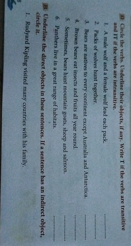 A Circle the verbs Underline their objects | StudyX