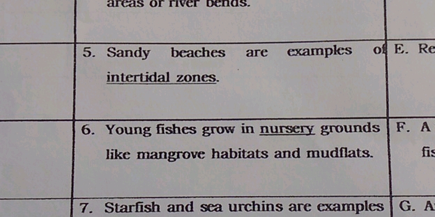 5 Sandy beaches are examples of intertidal | StudyX