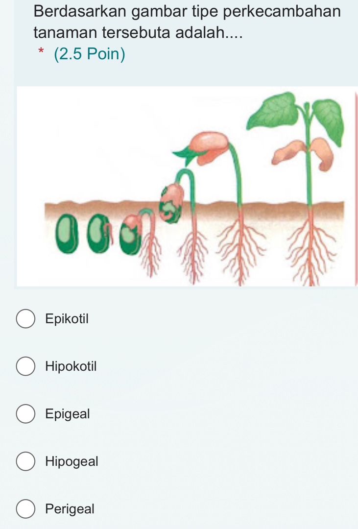 Berdasarkan gambar tipe perkecambahan | StudyX