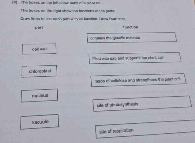 (b) The boxes on the left show parts of a | StudyX