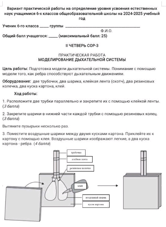 6- 2024-2025 6- ( 25) | StudyX