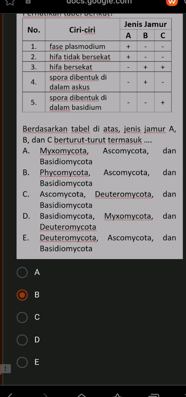 Jenis Jamur No Ciri-ciri A B C 1 fase | StudyX