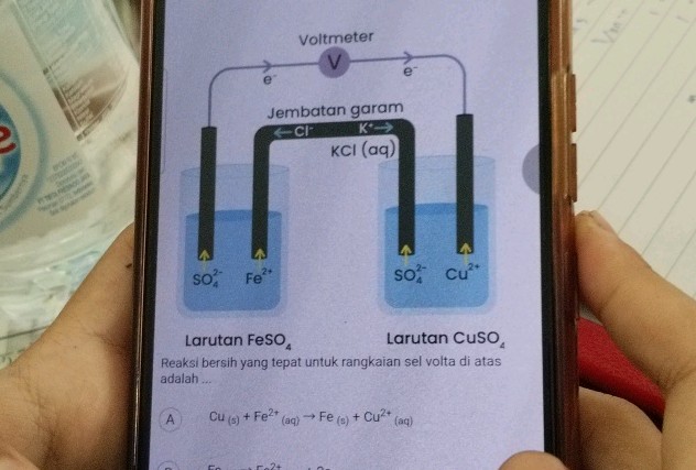 Larutan FeSO4 Larutan CuSO4 Reaksi bersih | StudyX