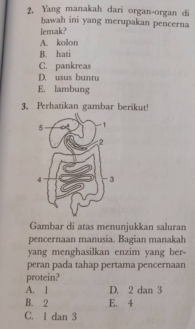 2 Yang manakah dari organ-organ di bawah ini | StudyX