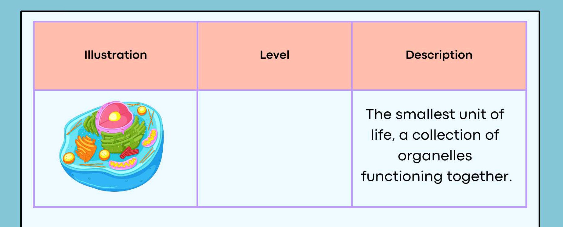 Illustration Level Description The smallest | StudyX