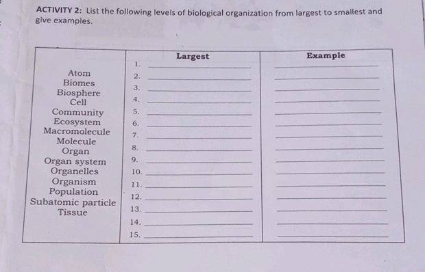 ACTIVITY 2 List the following levels of | StudyX