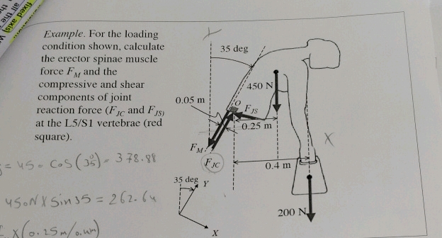 Example For the loading condition shown | StudyX
