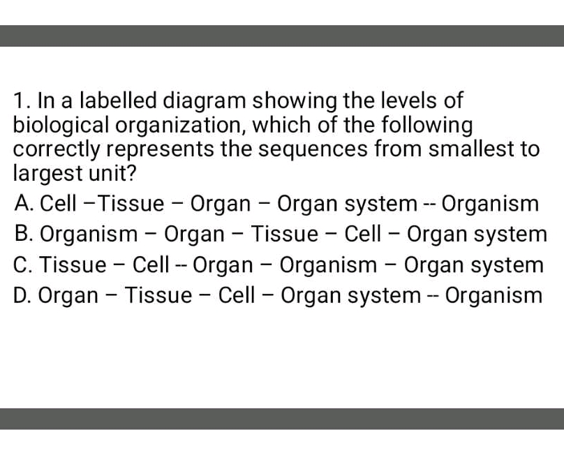1 In a labelled diagram showing the levels | StudyX