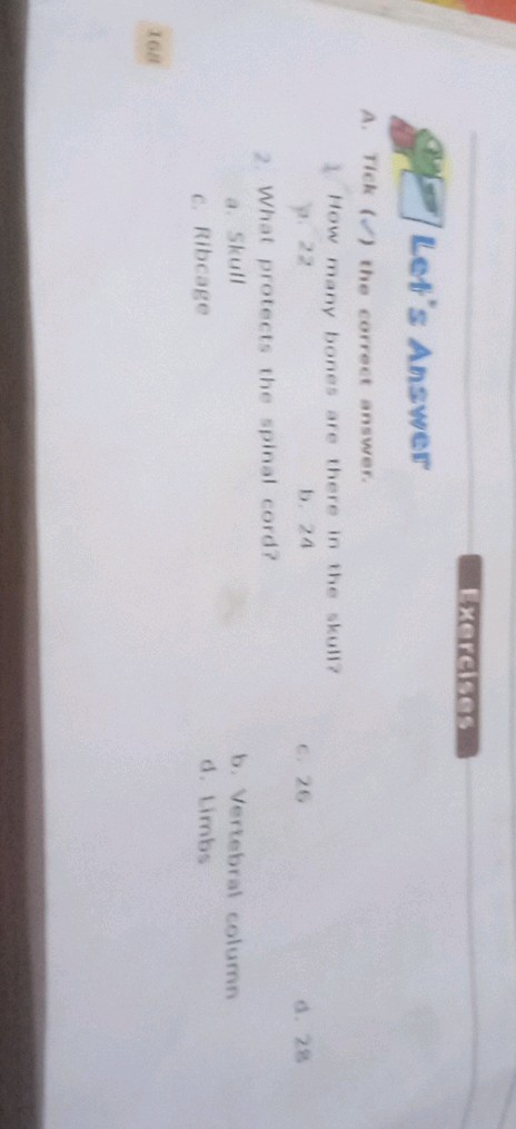 byedises Lets Answer A Tik ( ) the correct | StudyX