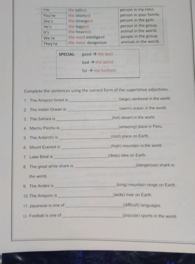 Complete the sentences using the correct | StudyX