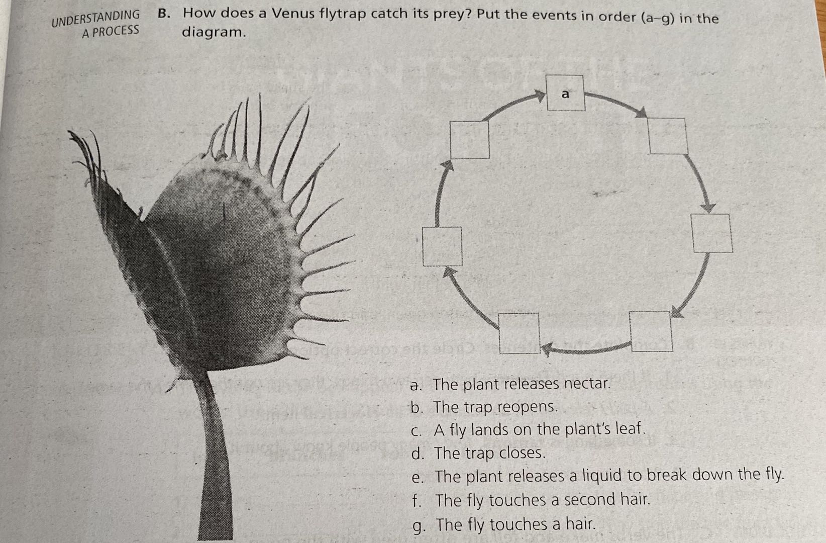 UNDERSTANDING B How does a Venus flytrap | StudyX
