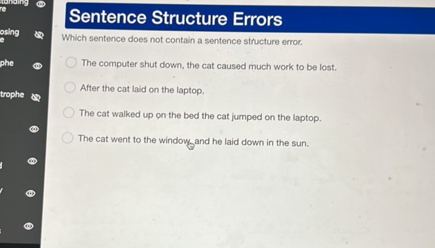 Sentence Structure Errors Which sentence | StudyX