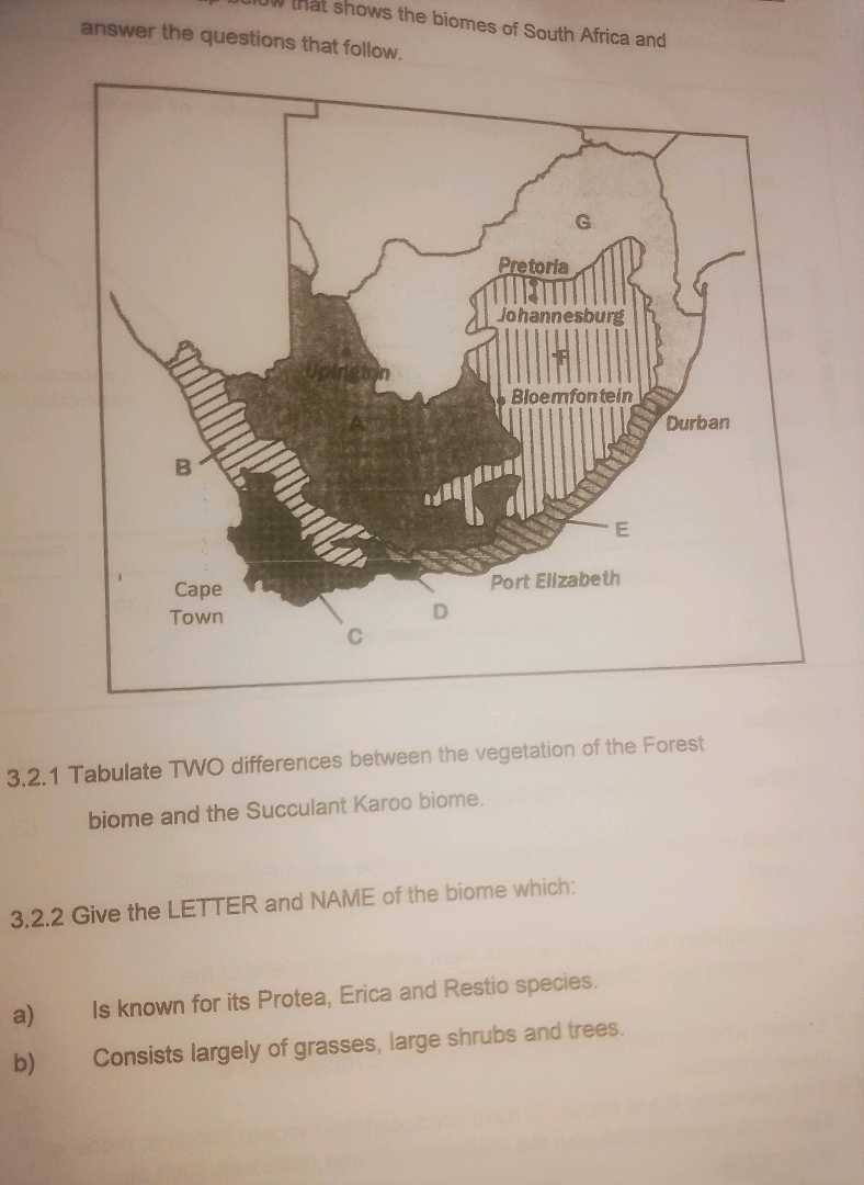 answer the questions that follow 321 | StudyX