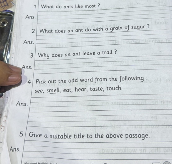 1 What do ants like most 2 What does an ant | StudyX