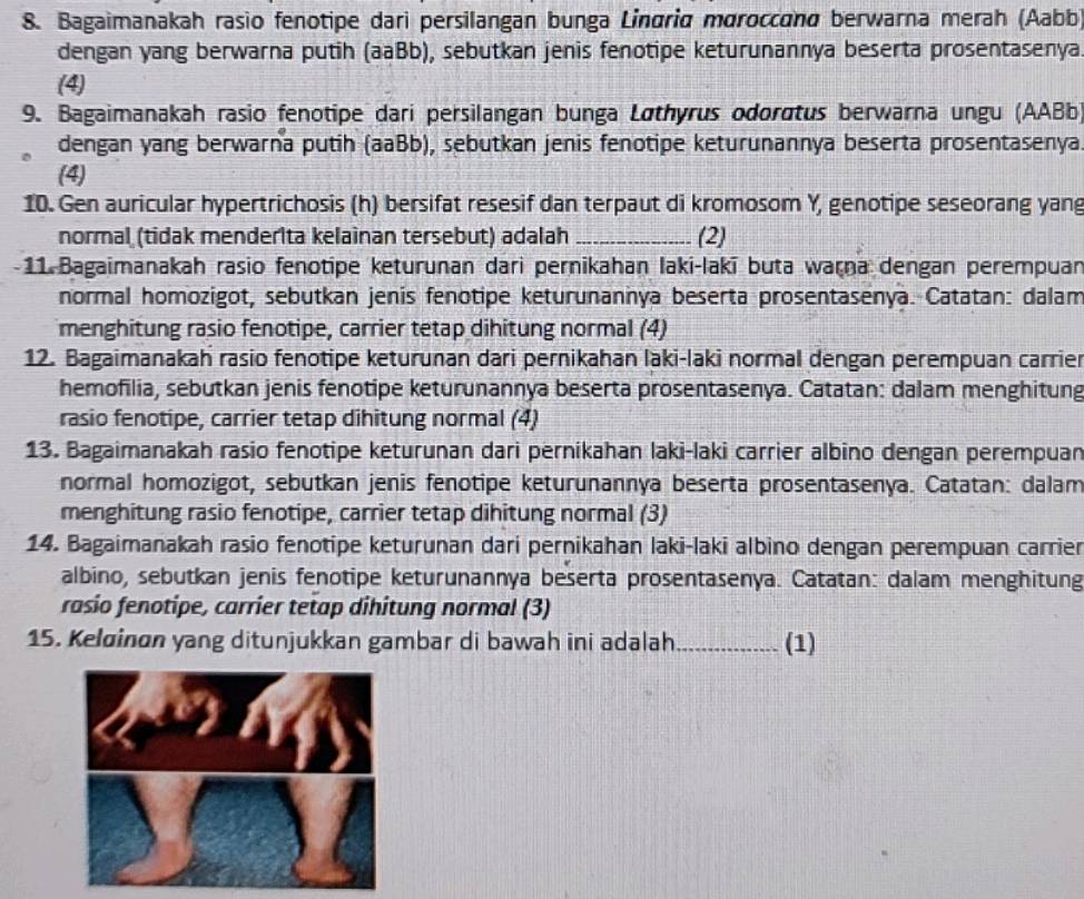 8 Bagaimanakah rasio fenotipe dari | StudyX