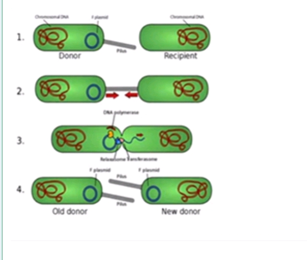 The image contains a diagram showing the | StudyX