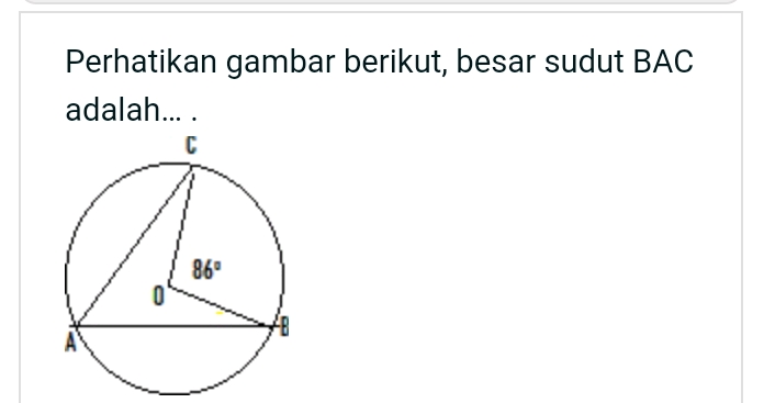 Perhatikan gambar berikut besar sudut BAC | StudyX