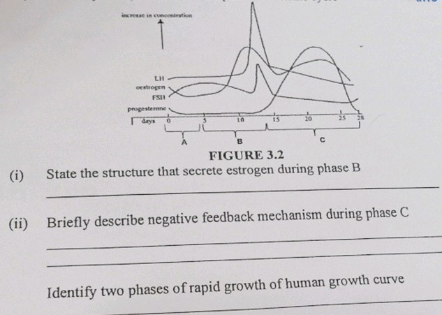FIGURE 32 (i) State the structure that | StudyX