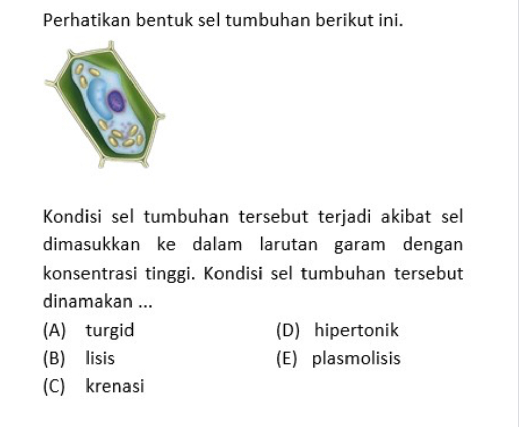 Perhatikan bentuk sel tumbuhan berikut ini | StudyX