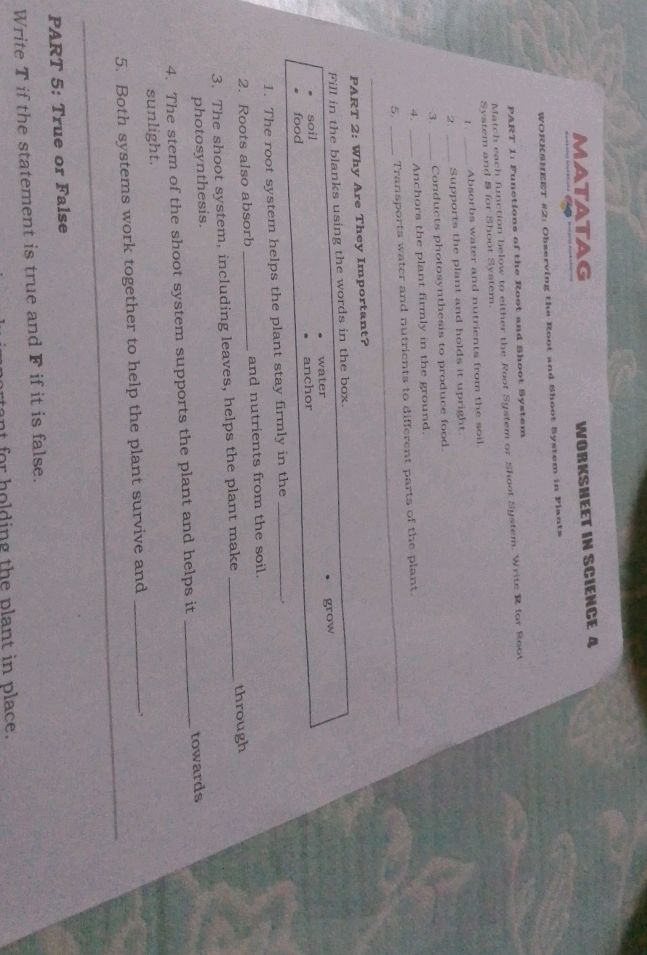 MATATAG WORKSHEET IN SCIENCE 4 WORKSHEET 2 | StudyX