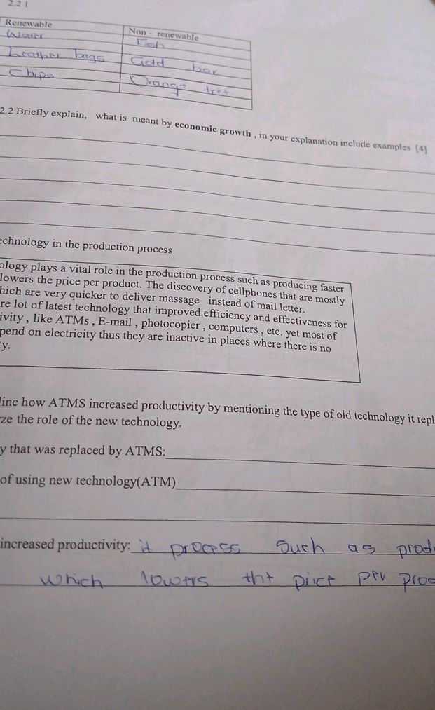 22 Briefly explain what is meant by economic | StudyX