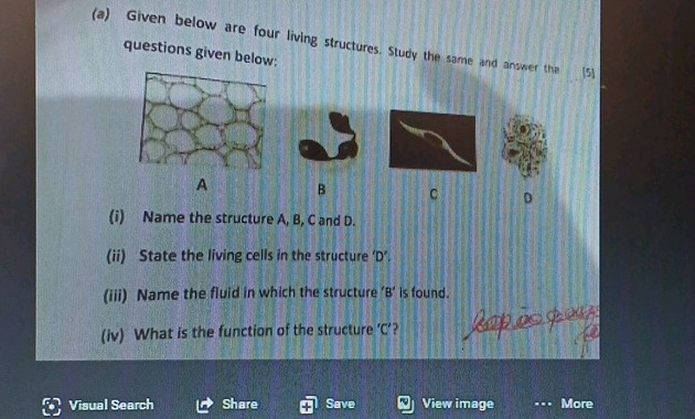(a) Given below are four living structures | StudyX