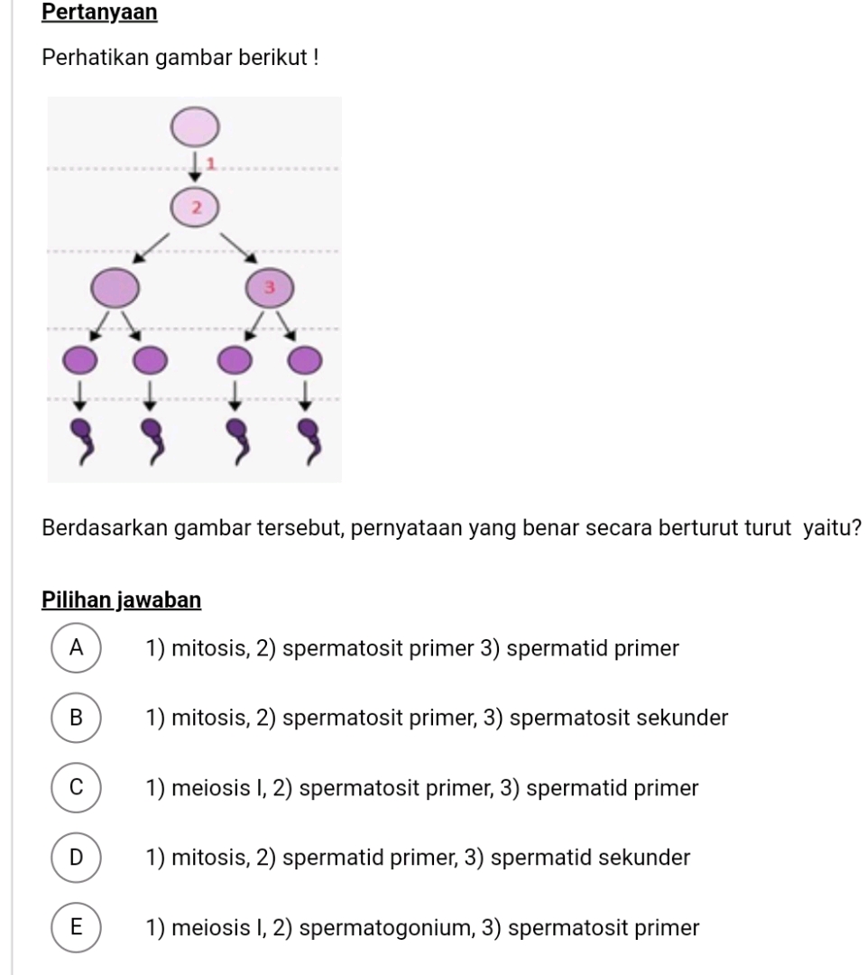 Pertanyaan Perhatikan gambar berikut Gambar | StudyX