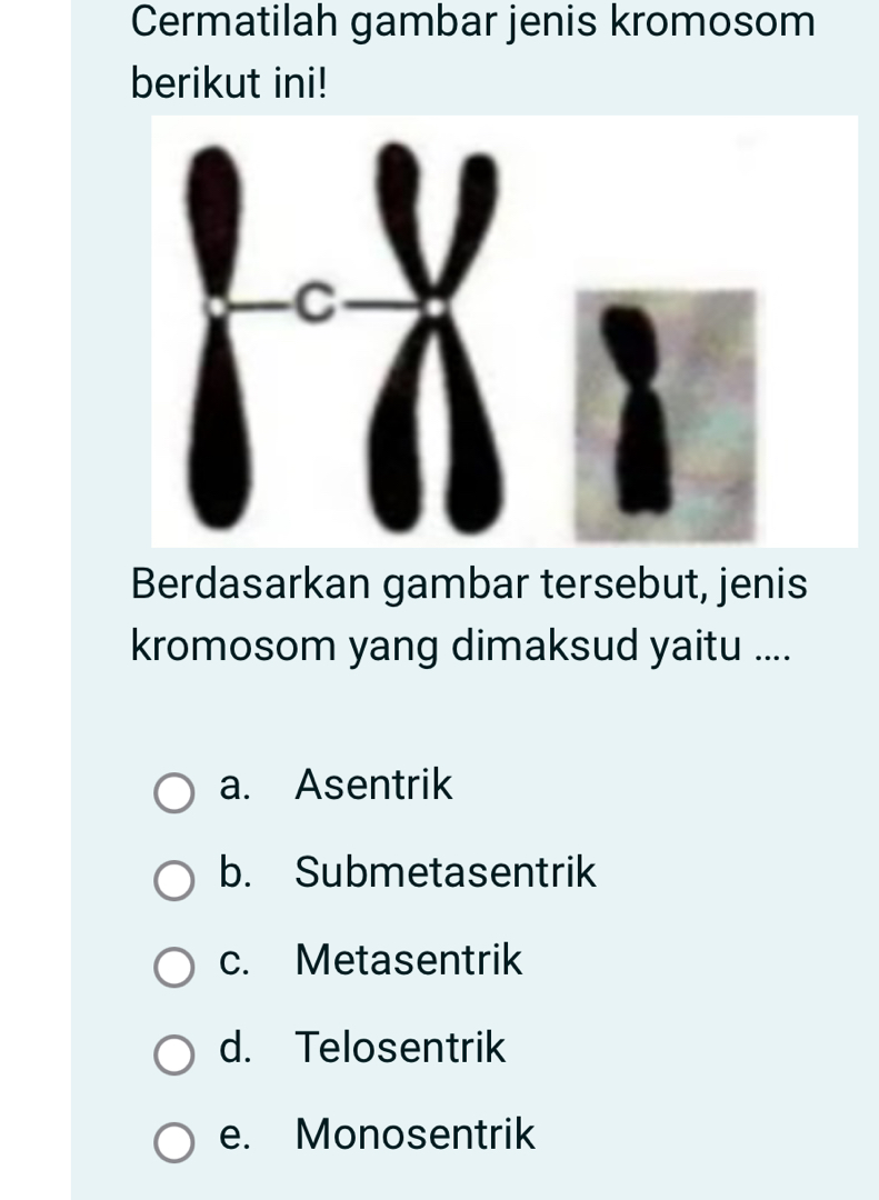 Cermatilah gambar jenis kromosom berikut ini | StudyX
