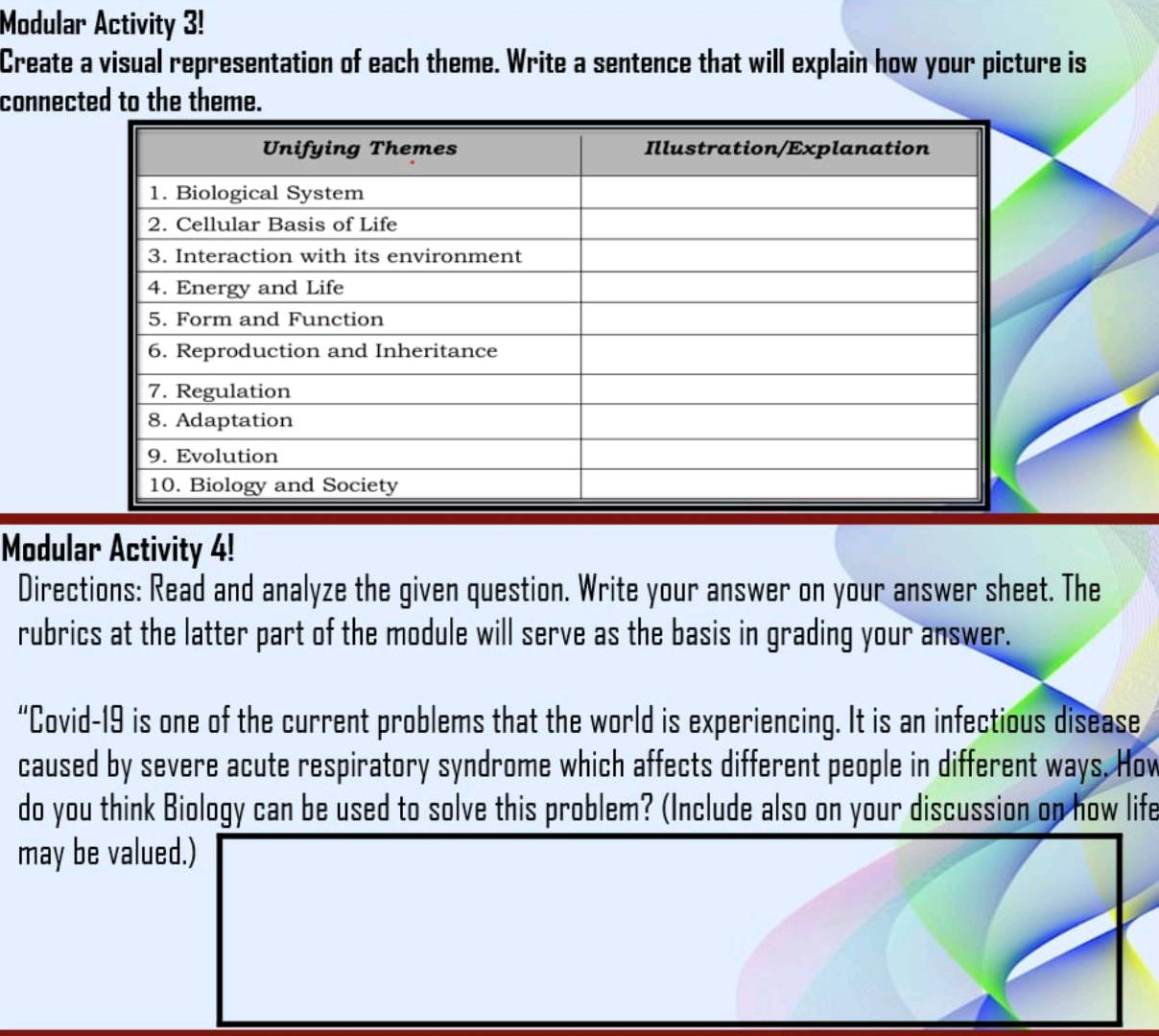 Modular Activity 3 Create a visual | StudyX
