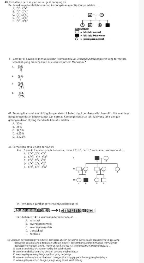 40 Perhatikan peta silsilah keluarga di | StudyX