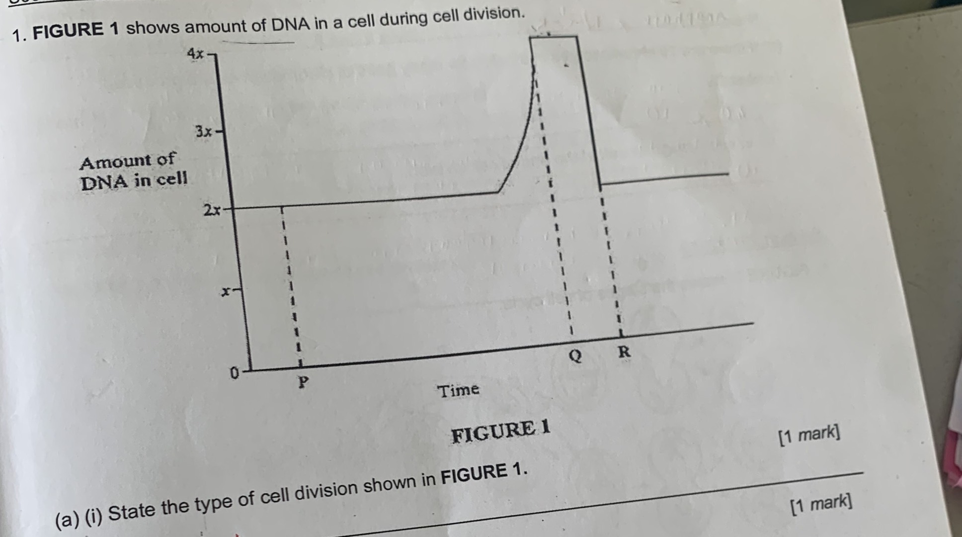 1 FIGURE 1 shows amount of DNA in a cell | StudyX