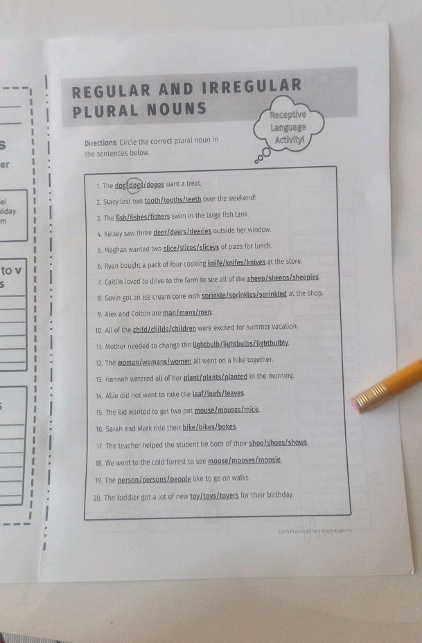 Directions Circle the correct plural noun in | StudyX