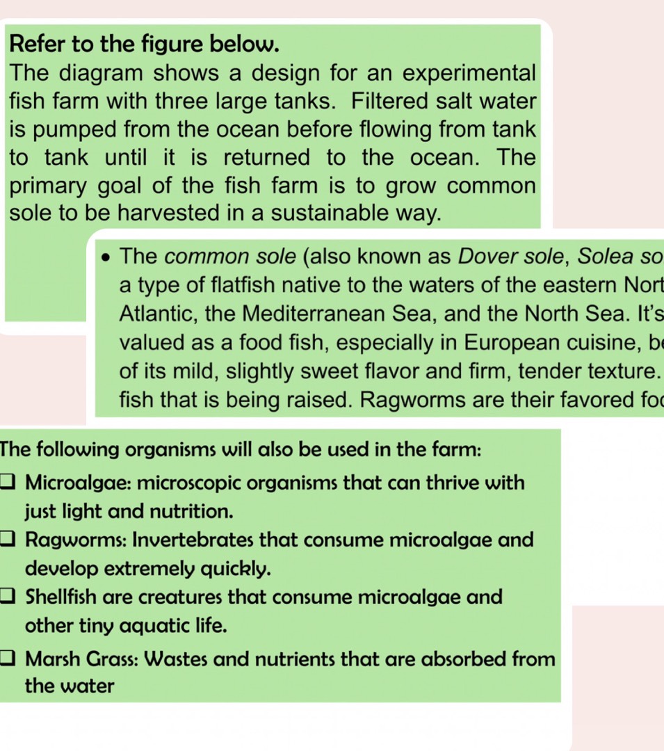 Refer to the figure below The diagram shows | StudyX