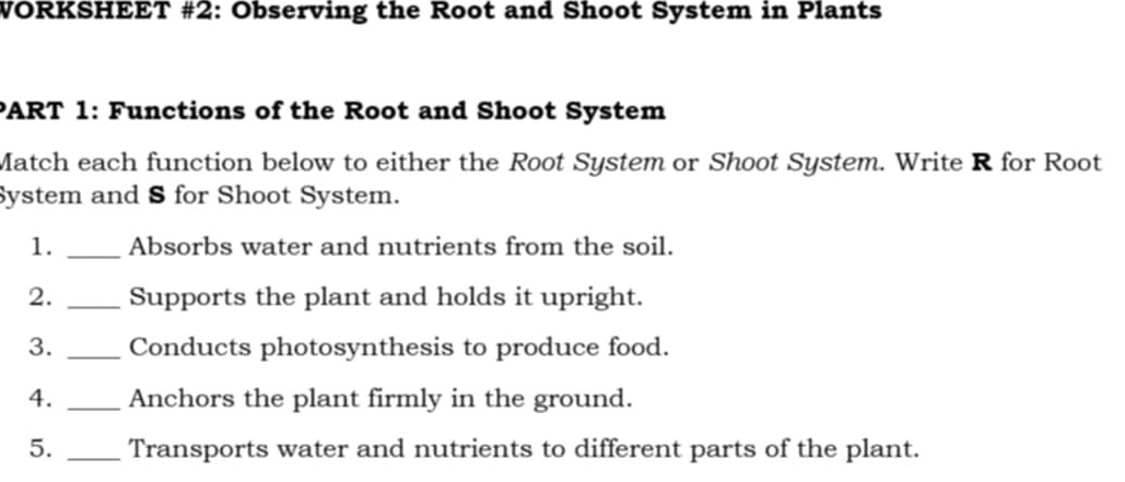 VORKSHEET 2 Observing the Root and Shoot | StudyX