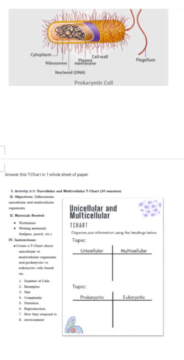 Answer this T-Chart in 1 whole sheet of | StudyX