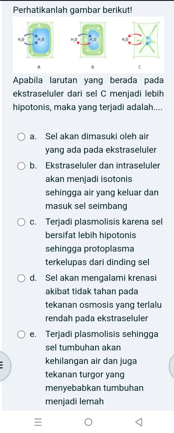 Perhatikanlah gambar berikutApabila larutan | StudyX
