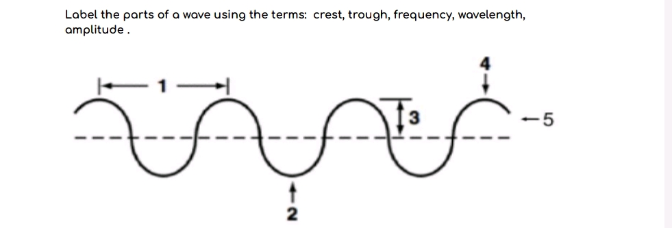 Label the parts of a wave using the terms | StudyX