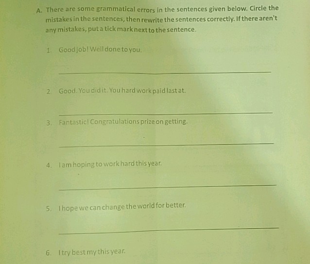 A There are some grammatical errors in the | StudyX