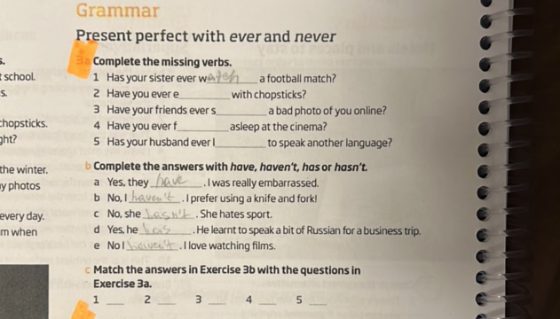 Grammar Present perfect with ever and never | StudyX