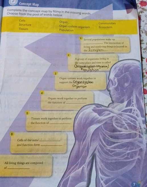 Concept Map Complete the concept map by | StudyX