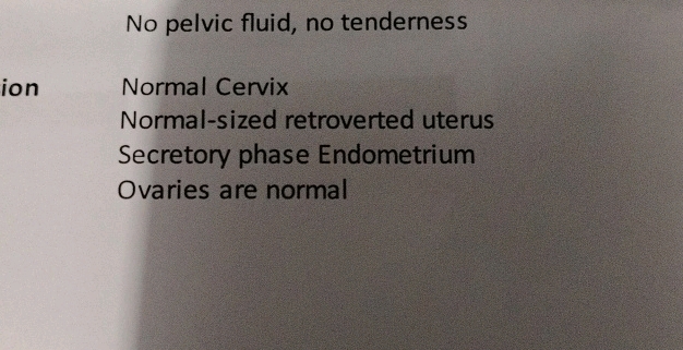 No pelvic fluid no tenderness Normal Cervix | StudyX
