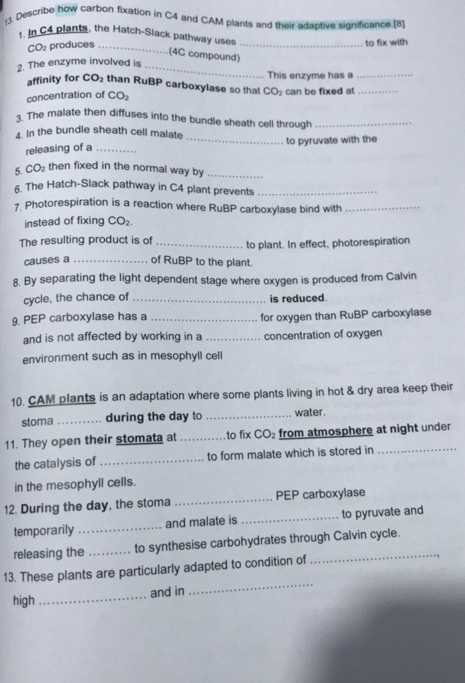 13 Describe how carbon fixation in C4 and | StudyX