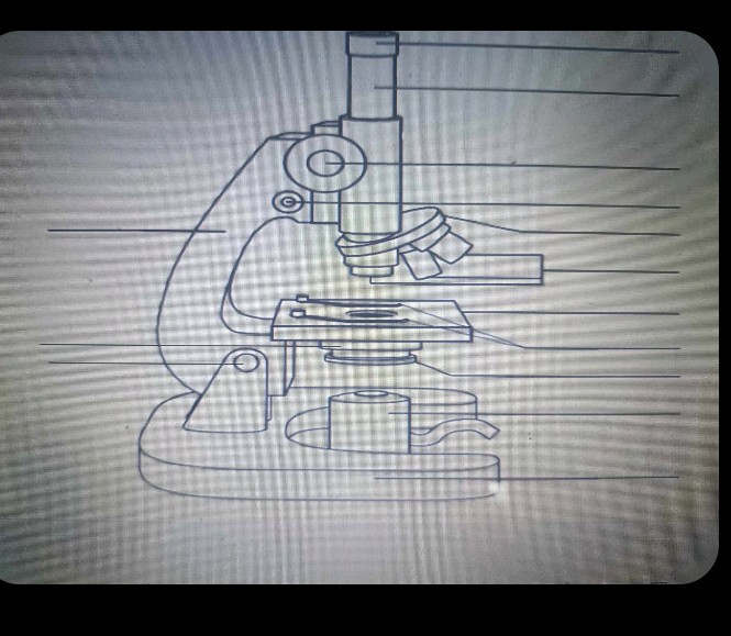 Label the parts of the microscope shown in | StudyX