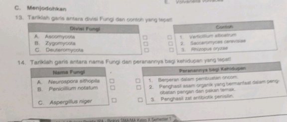 13 Tariklah garis antara divisi Fungi dan | StudyX