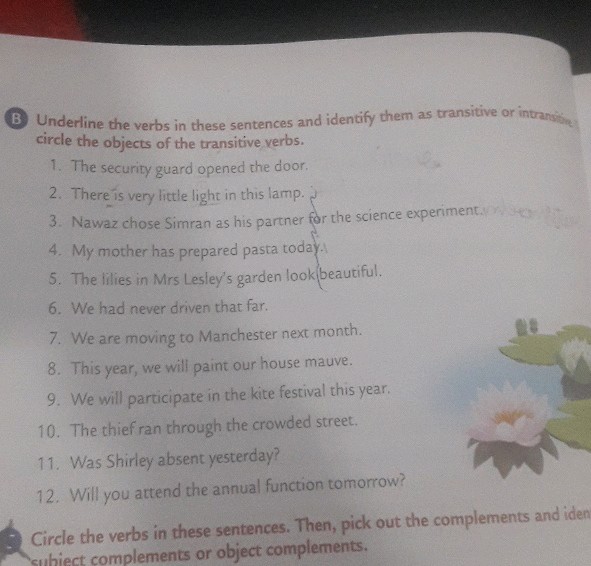 Underline the verbs in these sentences and | StudyX