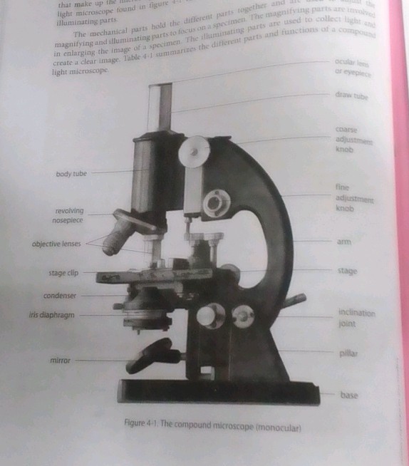 Figure 4-1 shows the compound microscope | StudyX